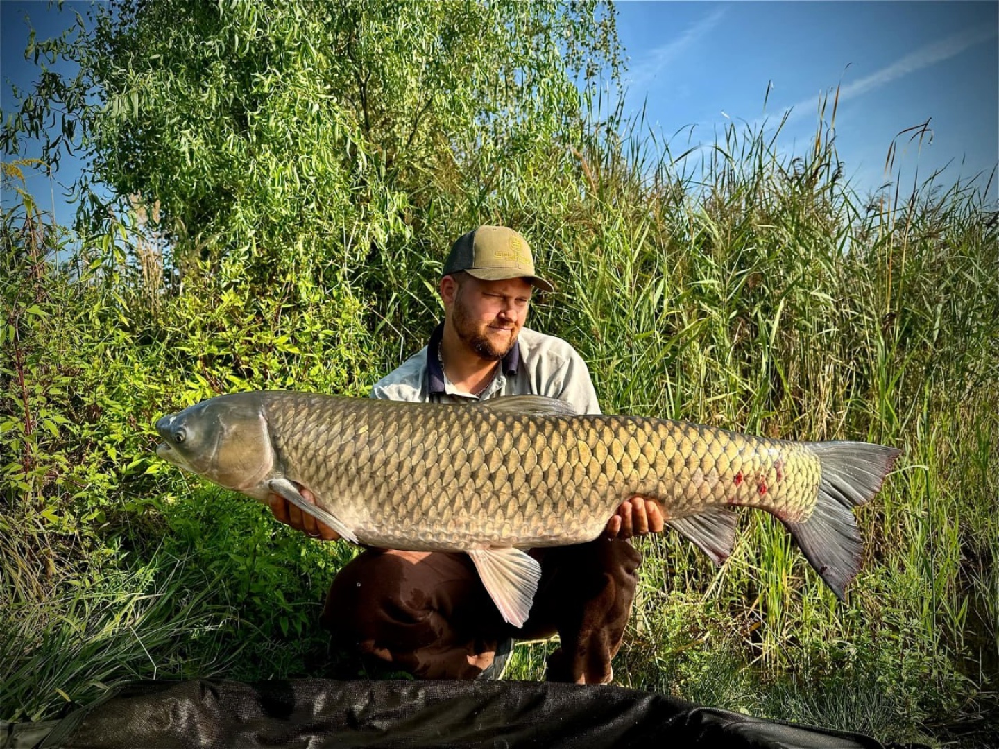 What is the record weight for a grass carp in Poland? - ROCKWORLD ...